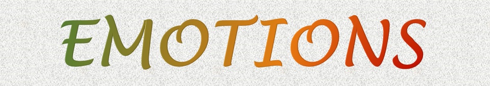 Emotions-Banner – First Baptist Church Oak Grove